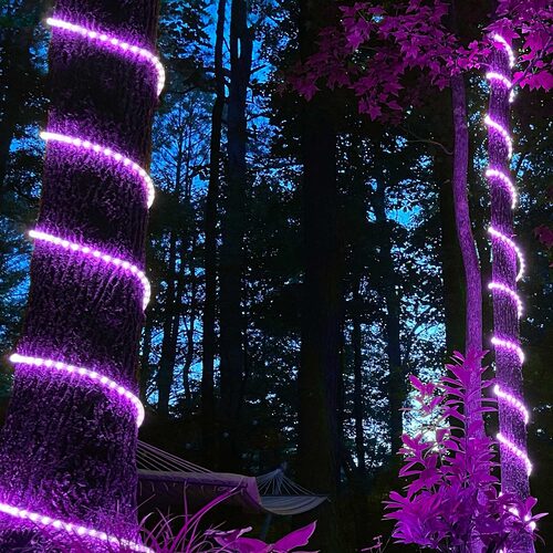18' Purple LED Rope Light, 2 Wire 1/2", 120 Volt - Yard Envy
