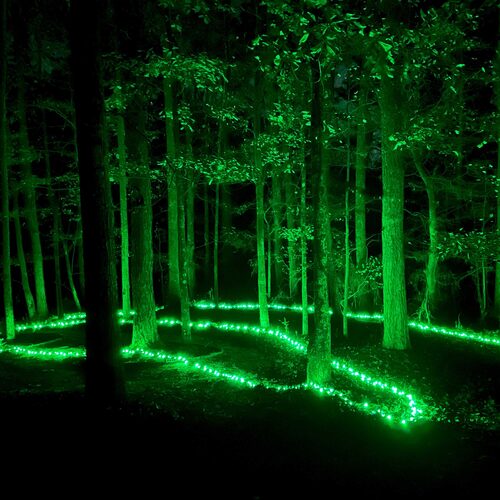 Wide Angle LED Mini Lights, Green, Green Wire - Yard Envy