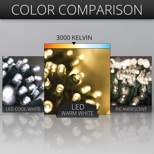 SoftTwinkle Wide Angle LED Mini Lights, Warm White, Green Wire - Yard Envy
