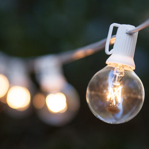 Globe String Lights, Clear G40 Bulbs, White Wire - Yard Envy