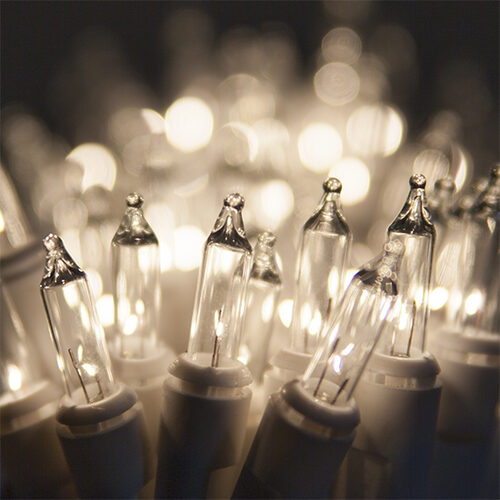 Clear Craft String Lights, White Wire - Yard Envy