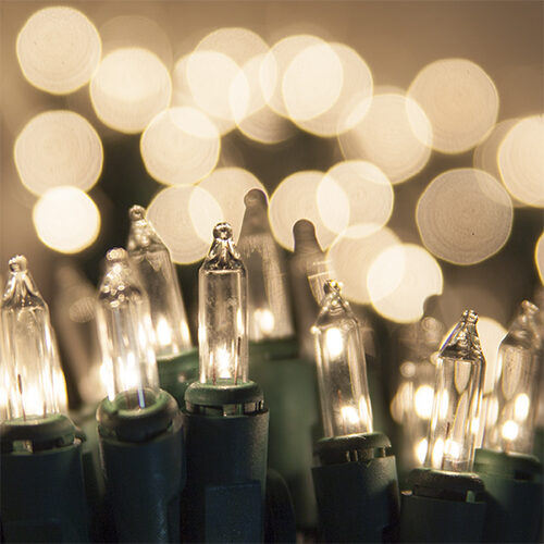 Clear Craft String Lights, Green Wire - Yard Envy