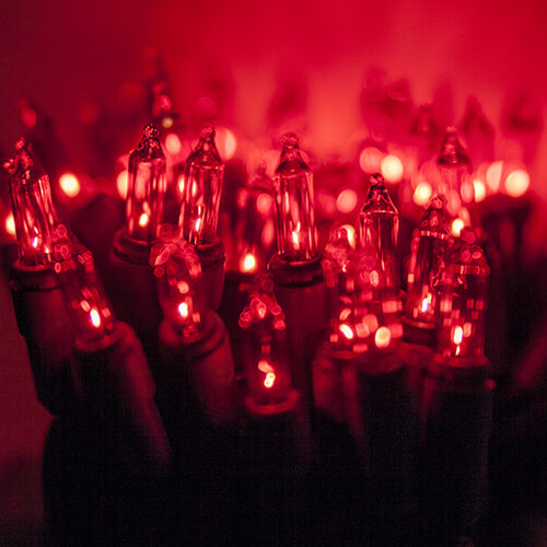 Standard Red Mini String Lights - Yard Envy