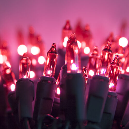 Standard Pink Mini String Lights - Yard Envy