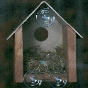 Cedar Window Bird House - Yard Envy