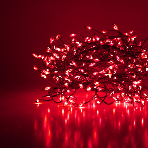 Red LED Outdoor Fairy String Lights, Silver Wire - Yard Envy