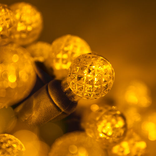 Raspberry LED String Lights, Gold, Green Wire - Yard Envy