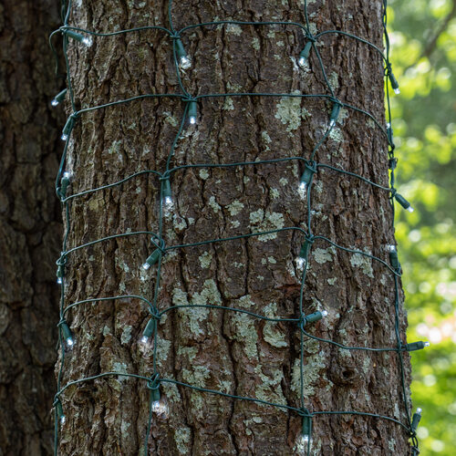LED Tree Wrap Lights, Cool White, Green Wire - Yard Envy
