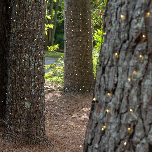LED Tree Wrap Lights, Warm White, Brown Wire - Yard Envy