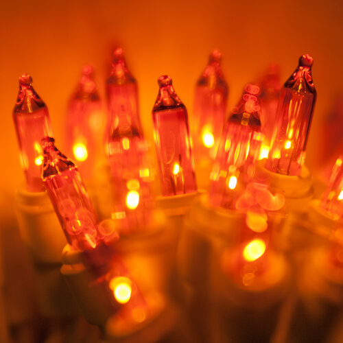 Standard Amber / Orange Mini String Lights - Yard Envy