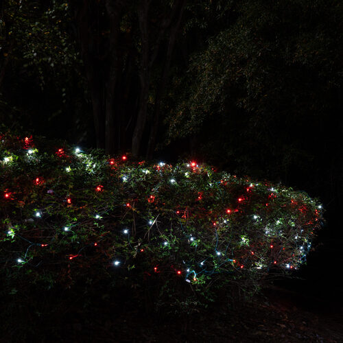 5mm SoftTwinkle LED Net Lights, Red, Cool White, Green Wire - Yard Envy