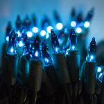 Incandescent Mini String Lights - Yard Envy