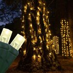 Trunk Wrap Lights - Yard Envy