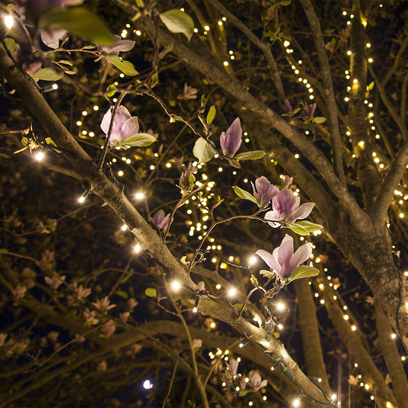 Garden Lights - Yard Envy