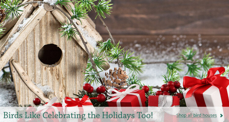 Patio Lights, Bird Houses, Bird Feeders, Sundials, and Hammocks - Yard Envy