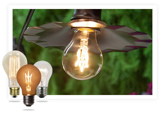 Edison String Lights - Yard Envy